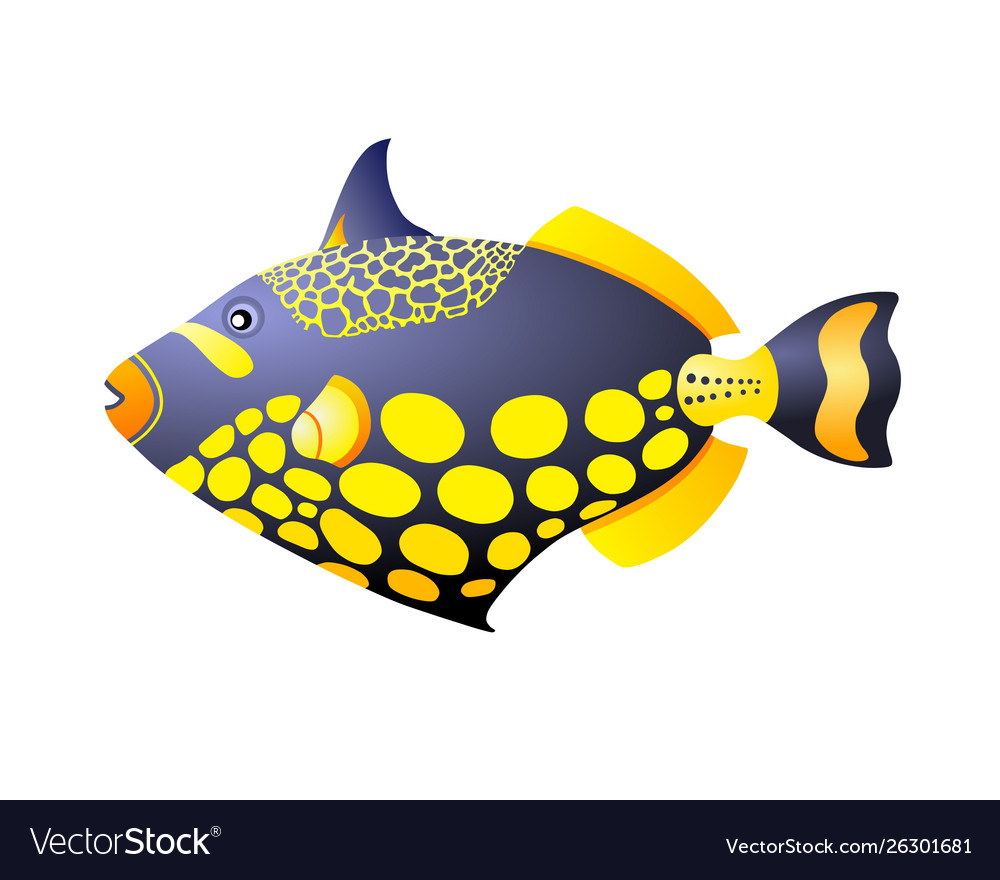 Triggerfish Royalty Free Vector Image - VectorStock