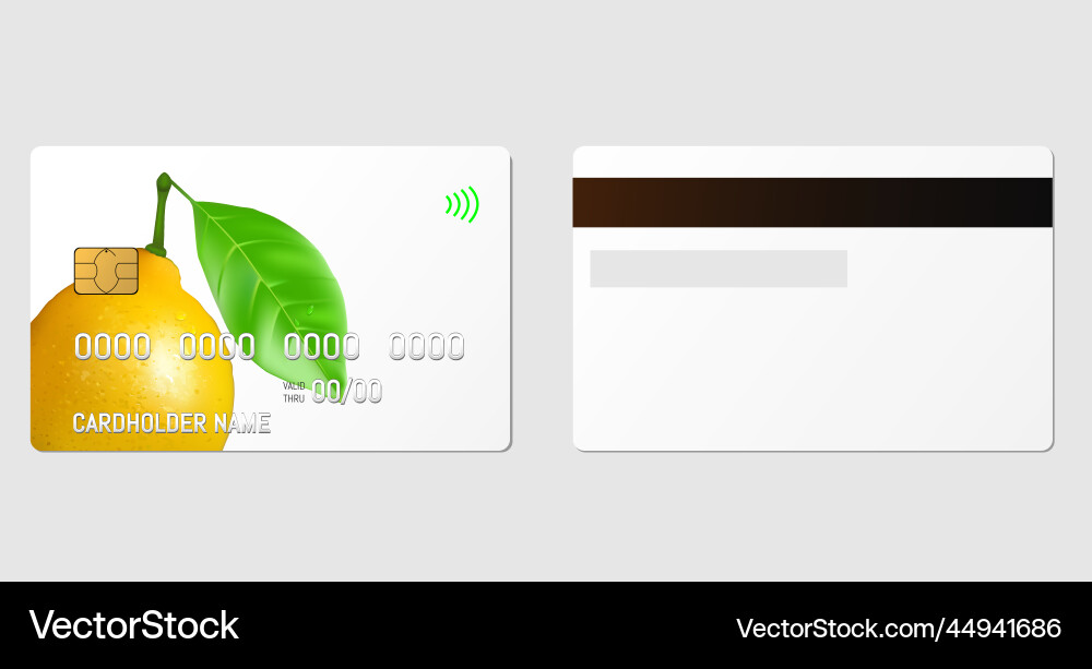 Credit plastic card with emv chip contactless Vector Image