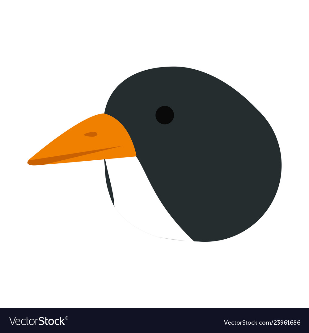 Cute penguin bird character Royalty Free Vector Image