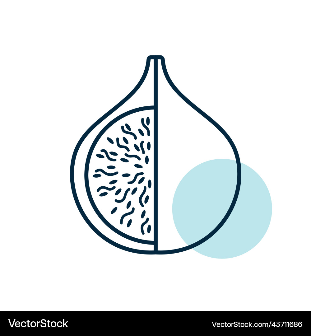 Fig tropical fruit icon graph symbol for food Vector Image