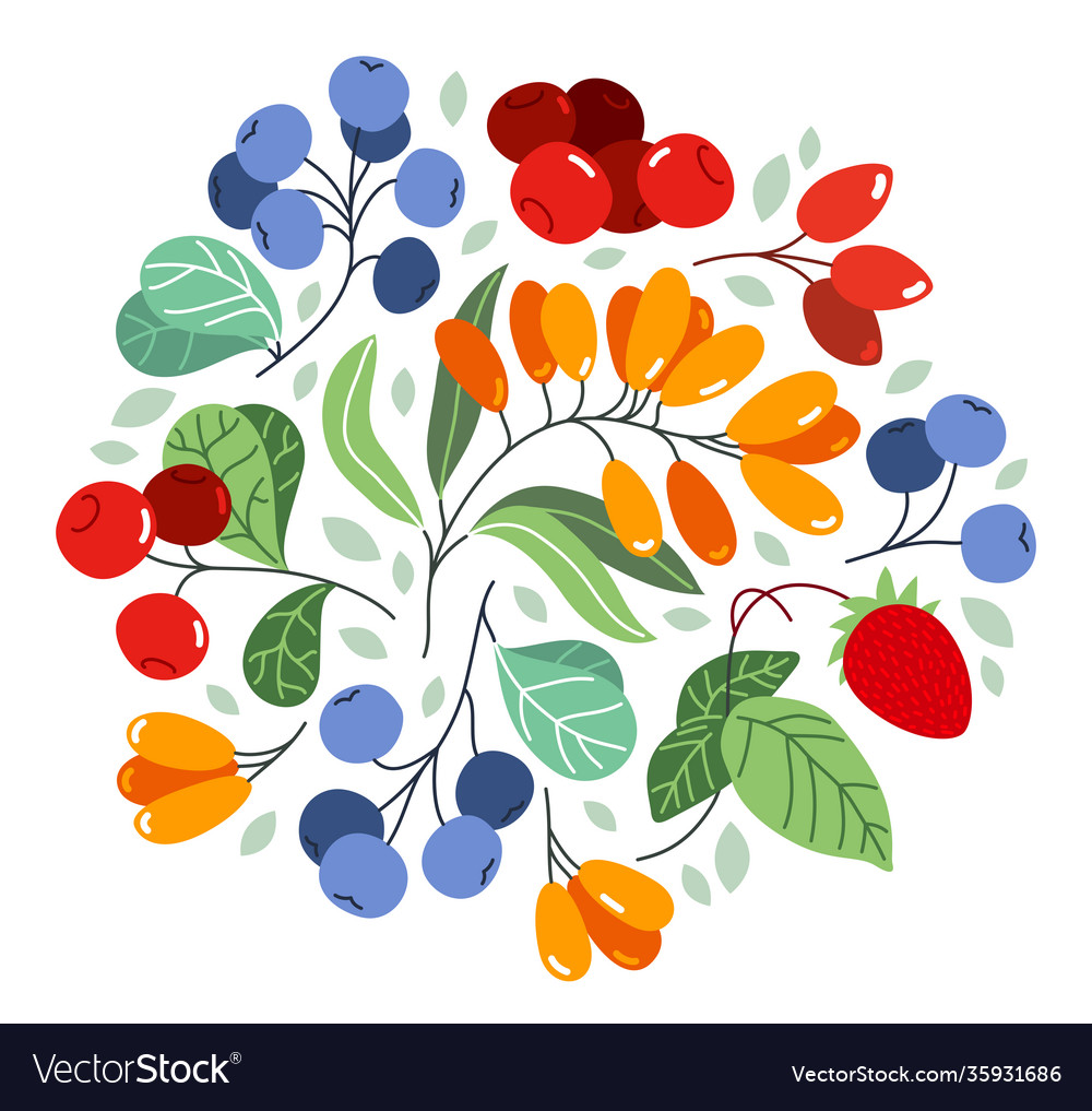 Wild berries fresh and ripe tasty healthy food Vector Image