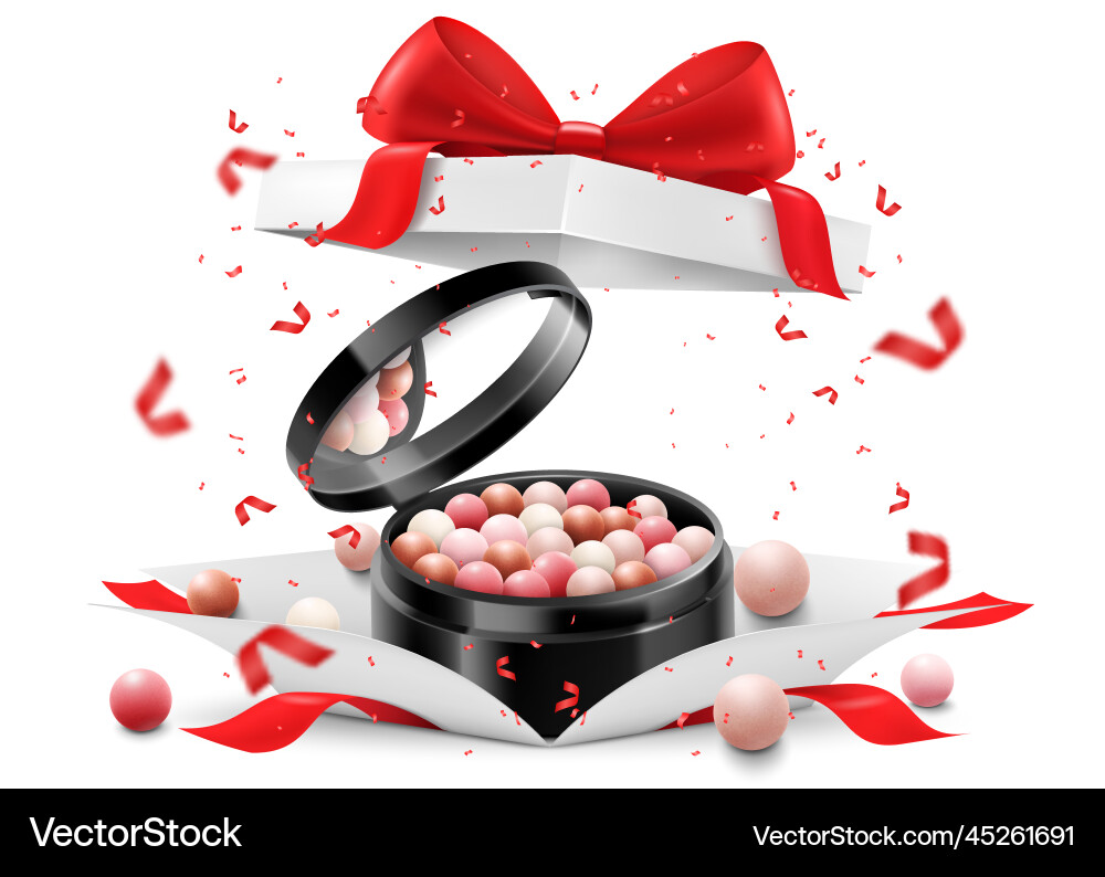 Colorful blush balls in round black case inside Vector Image