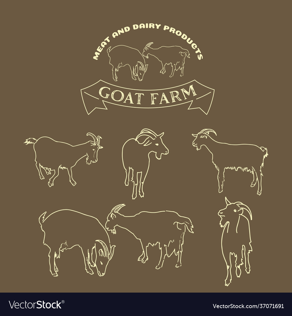 Goats set Royalty Free Vector Image - VectorStock