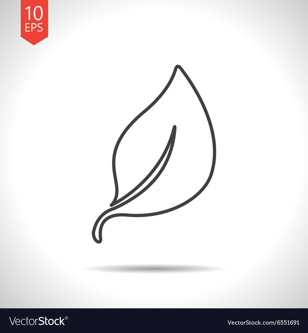 Leaf icon Royalty Free Vector Image - VectorStock