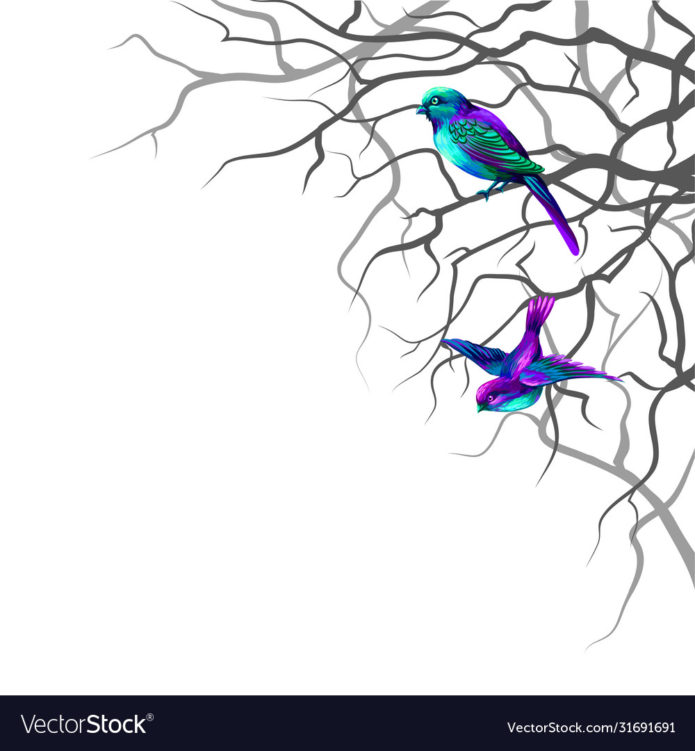 Multi-colored birds sitting on tree branches Vector Image