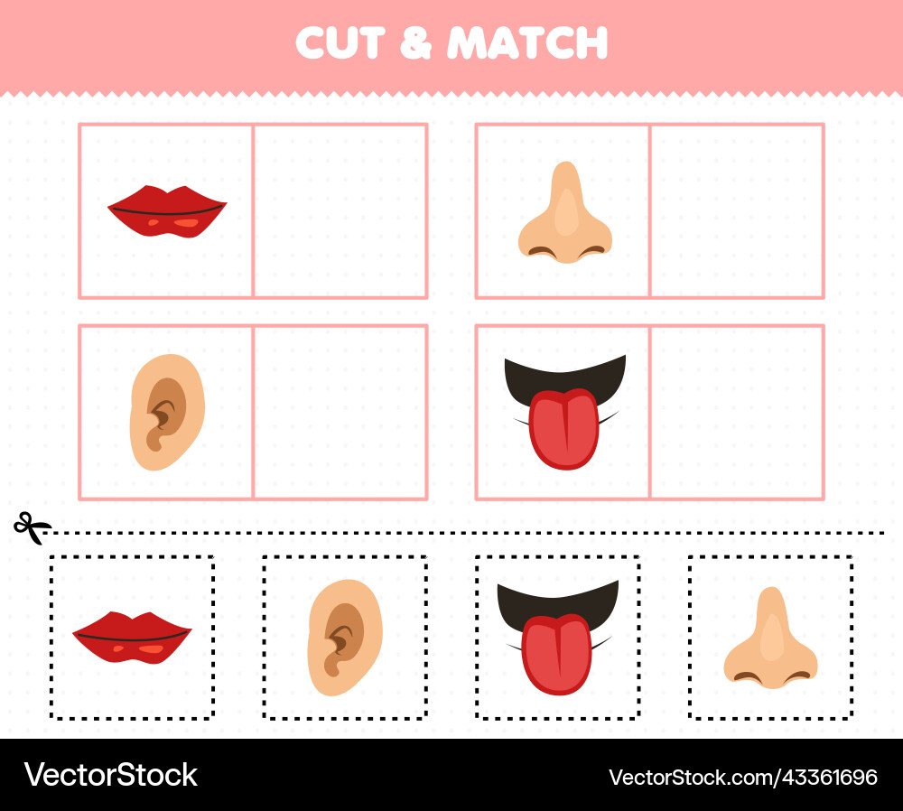Education game for children cut and match Vector Image