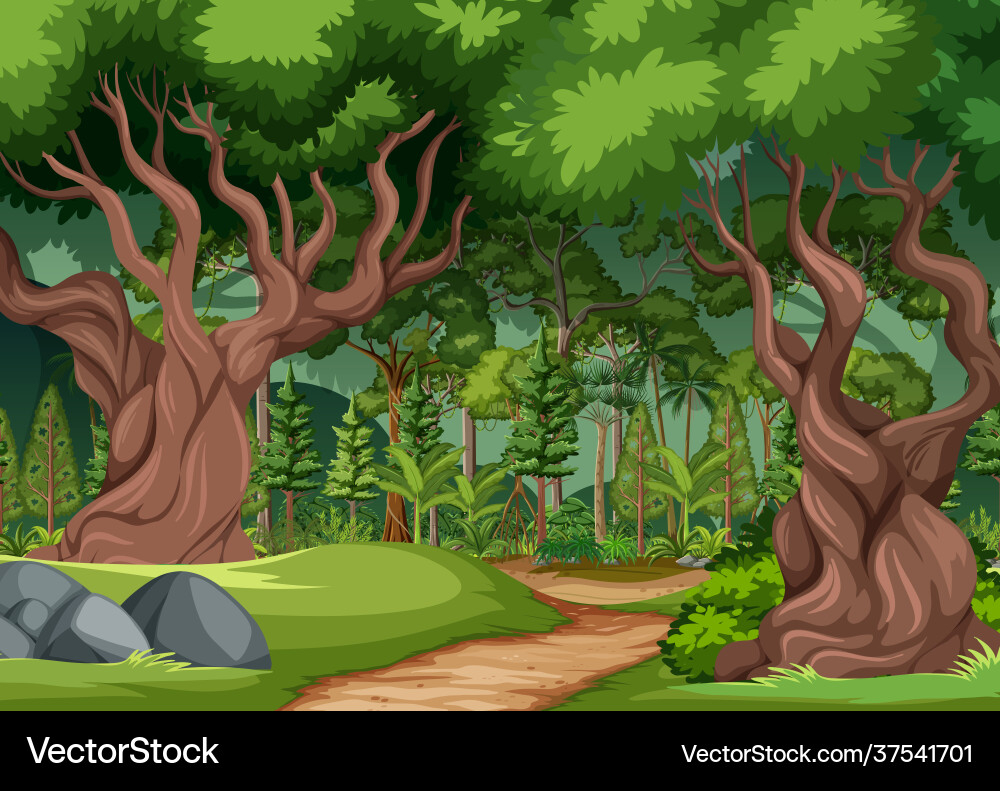 Forest scene with hiking track and many trees Vector Image