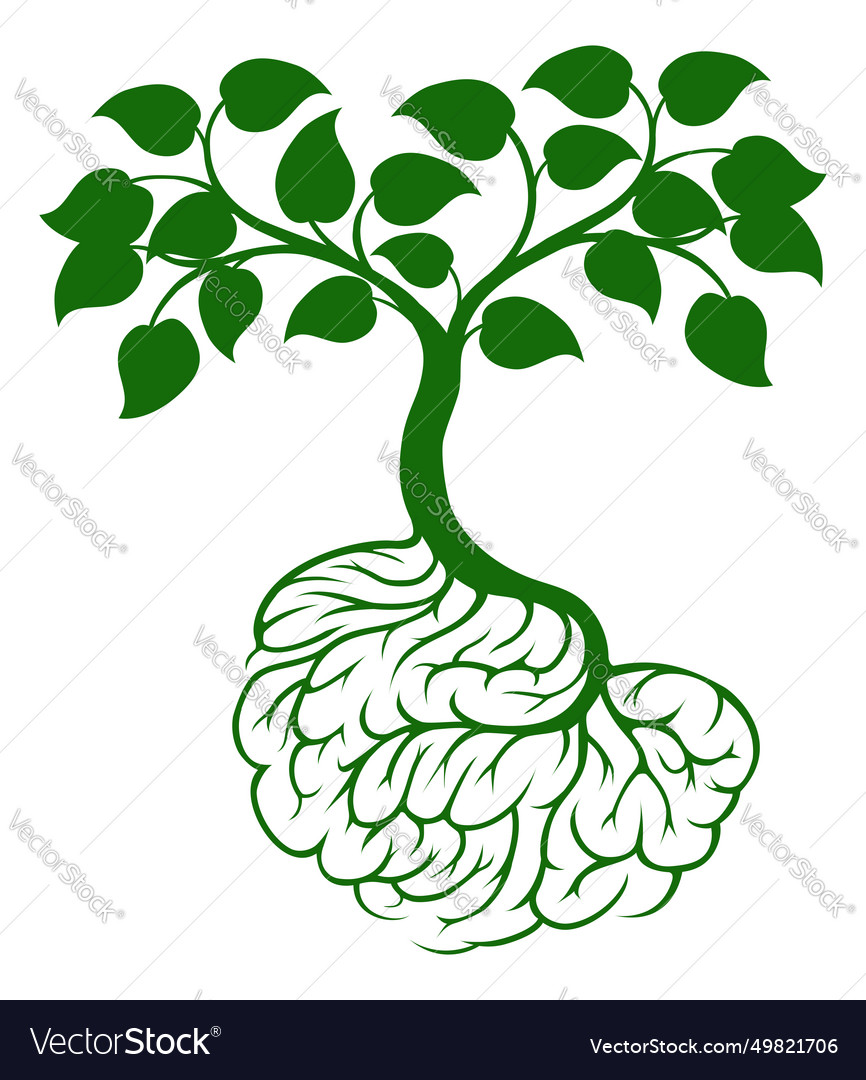 Brain roots tree Royalty Free Vector Image - VectorStock
