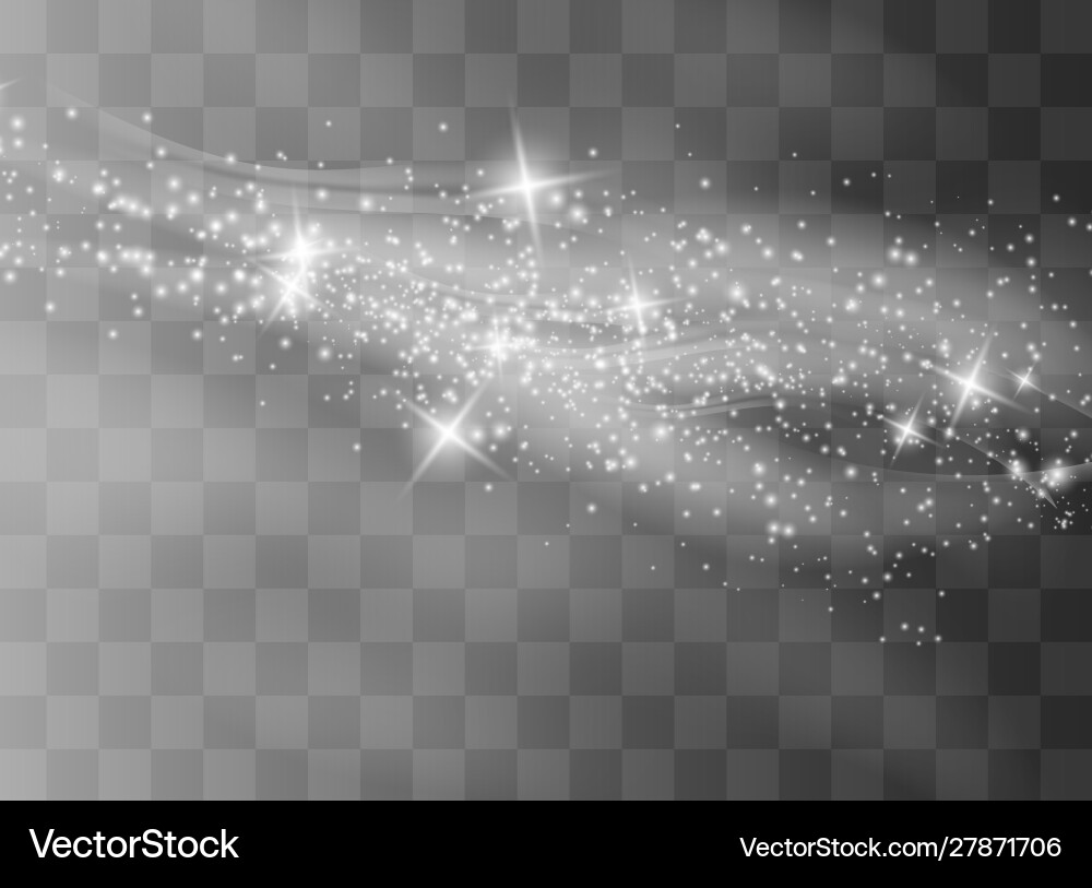 Snow and wind on a transparent background white Vector Image