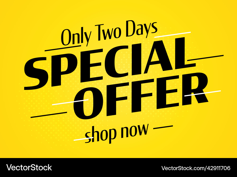 Special offer banner only two days for shopping Vector Image