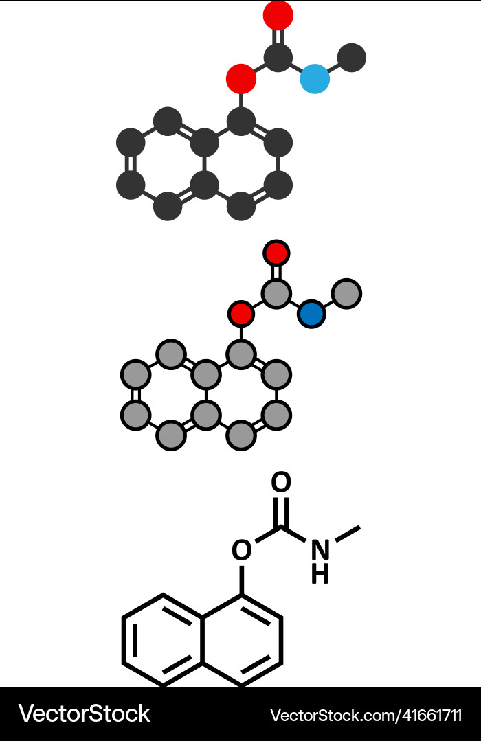 Carbaryl carbaril insecticide molecule carbamate Vector Image