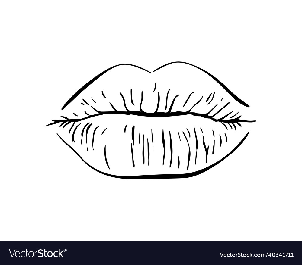 Lips Royalty Free Vector Image - VectorStock