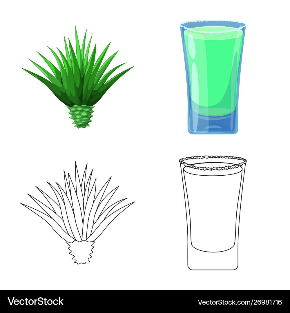 Design cafe and latin sign set Royalty Free Vector Image