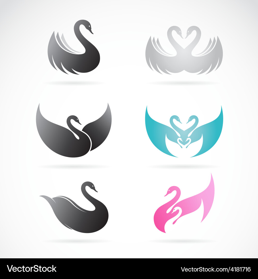 Set of swan design Royalty Free Vector Image - VectorStock
