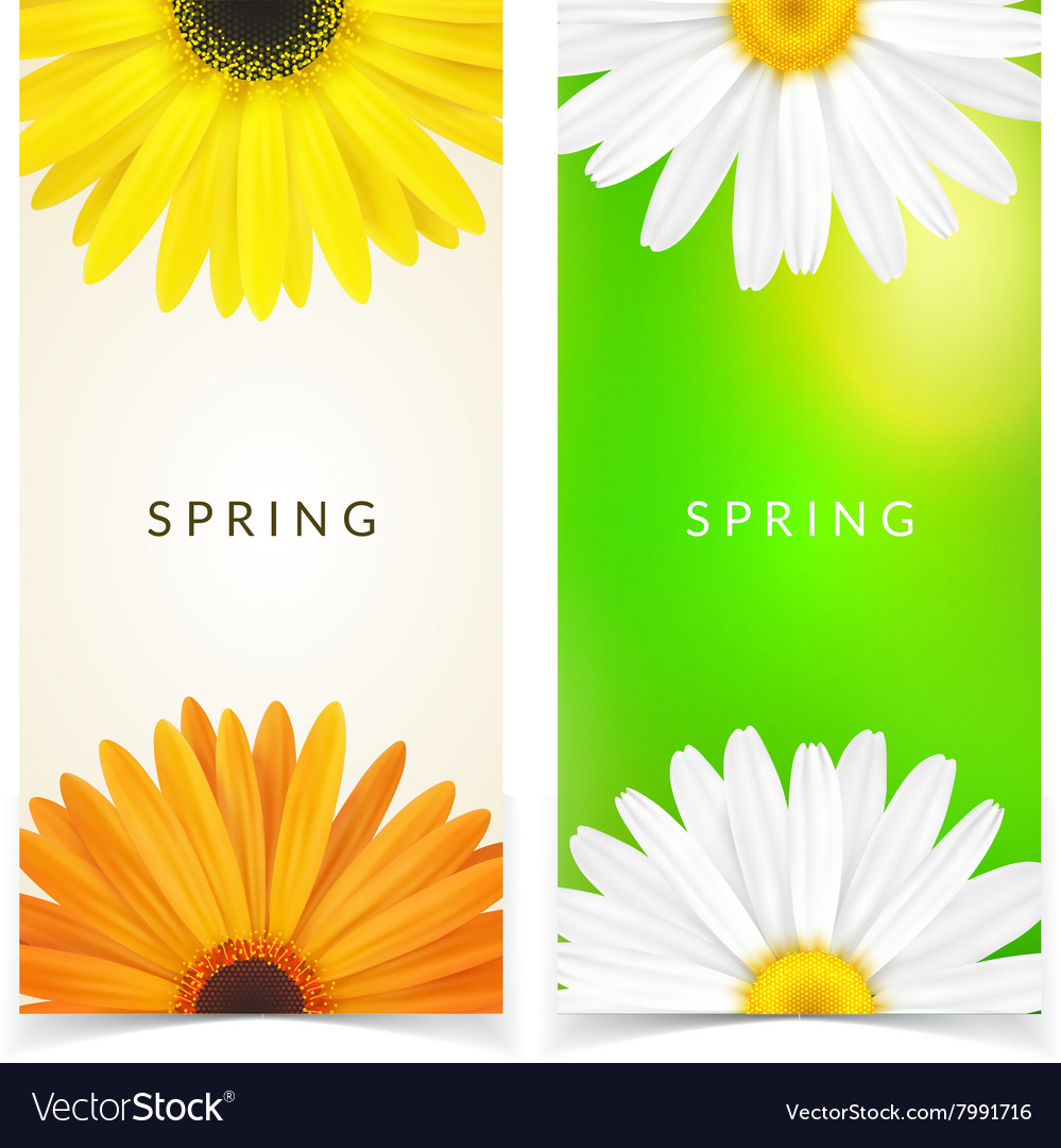 Spring flowers composition Royalty Free Vector Image