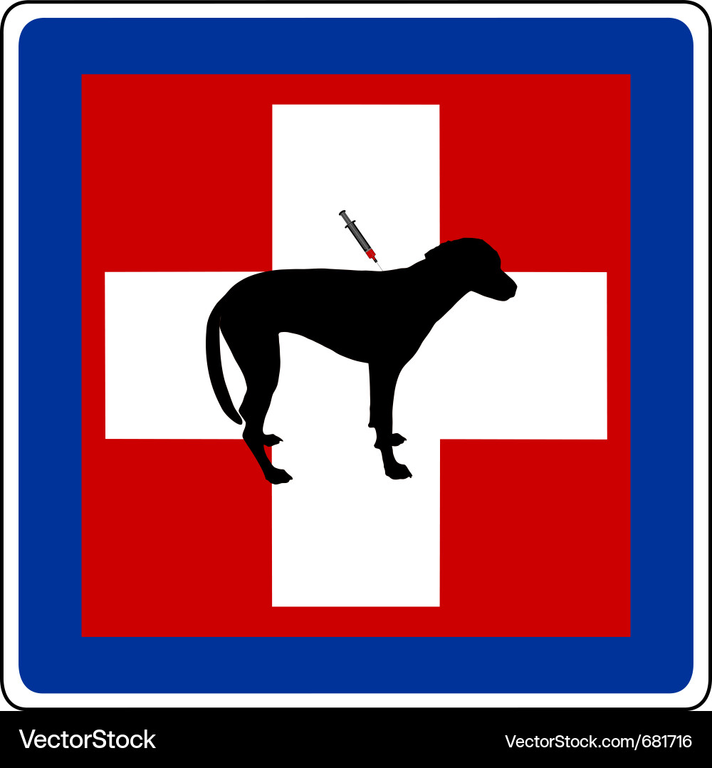 Traffic sign for sick dogs Royalty Free Vector Image