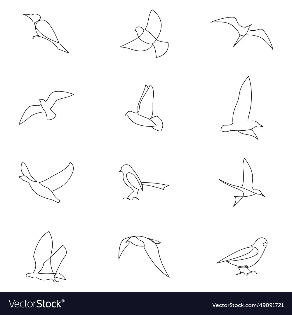 Birds continuous line drawing set bird icon Vector Image Birds continuous line drawing set bird icon Vector Image
