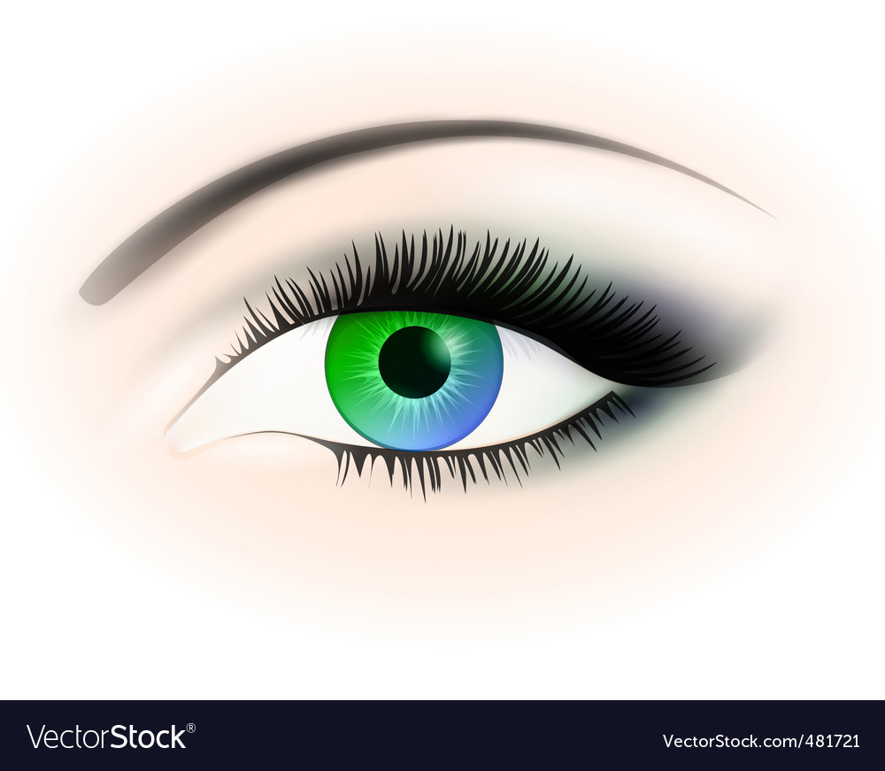 Eye Royalty Free Vector Image - VectorStock
