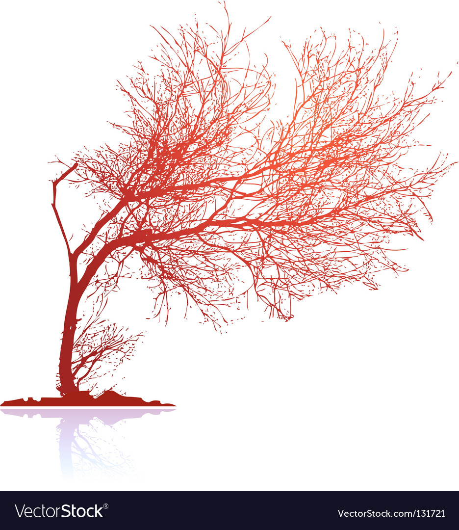 Traced tree Royalty Free Vector Image - VectorStock