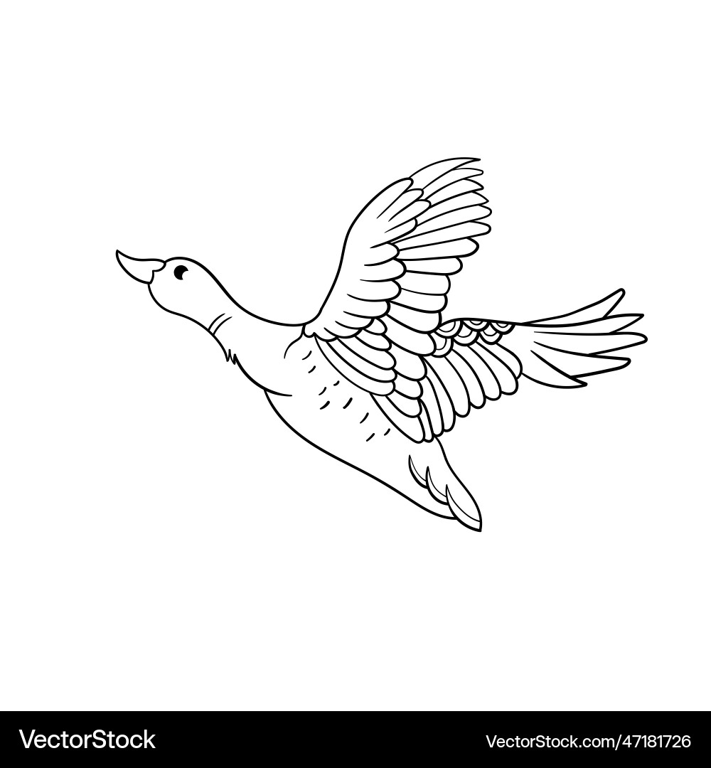 A duck in flight for immigration outline Vector Image