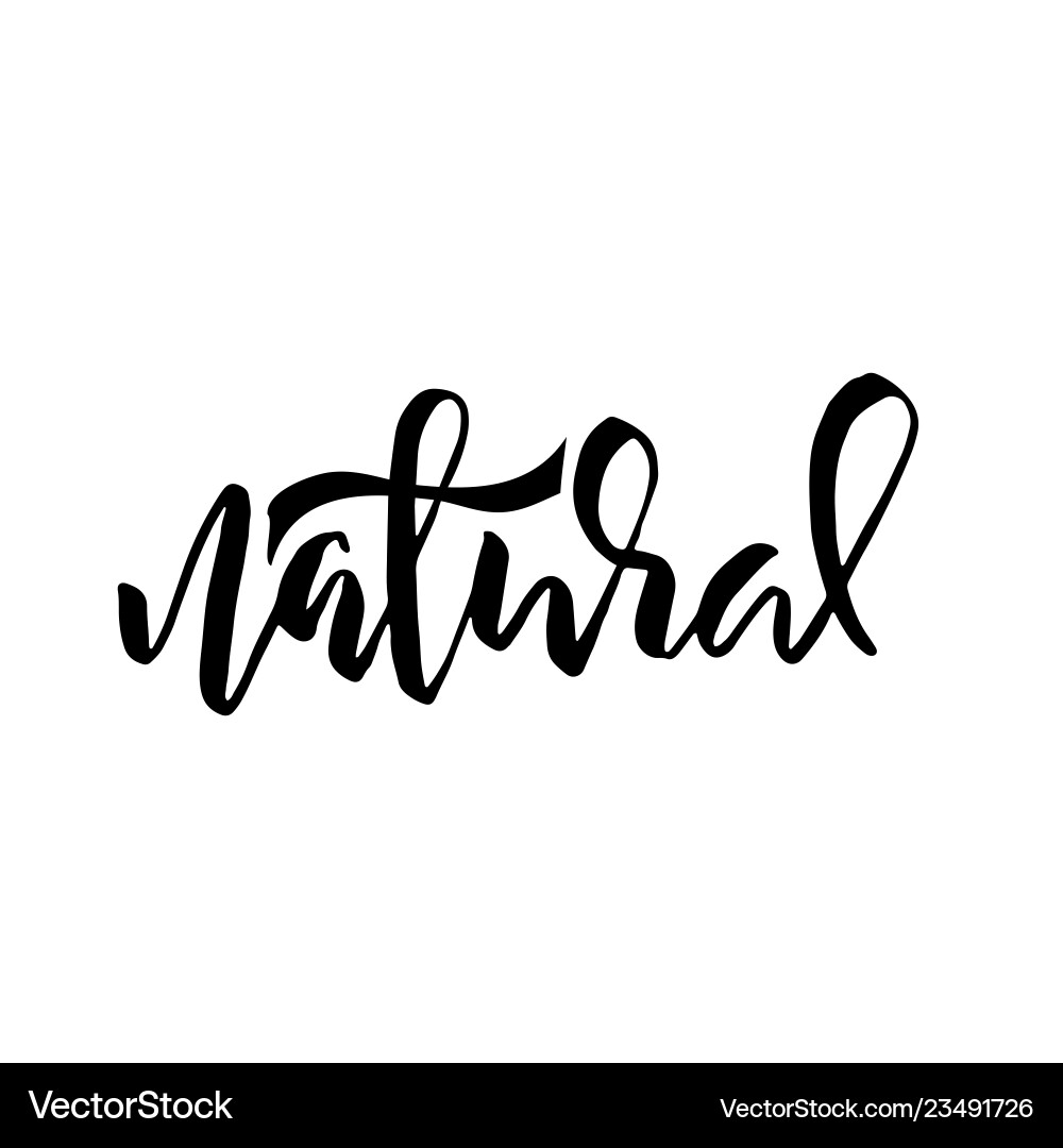 Modern brush lettering natural handdrawn Vector Image