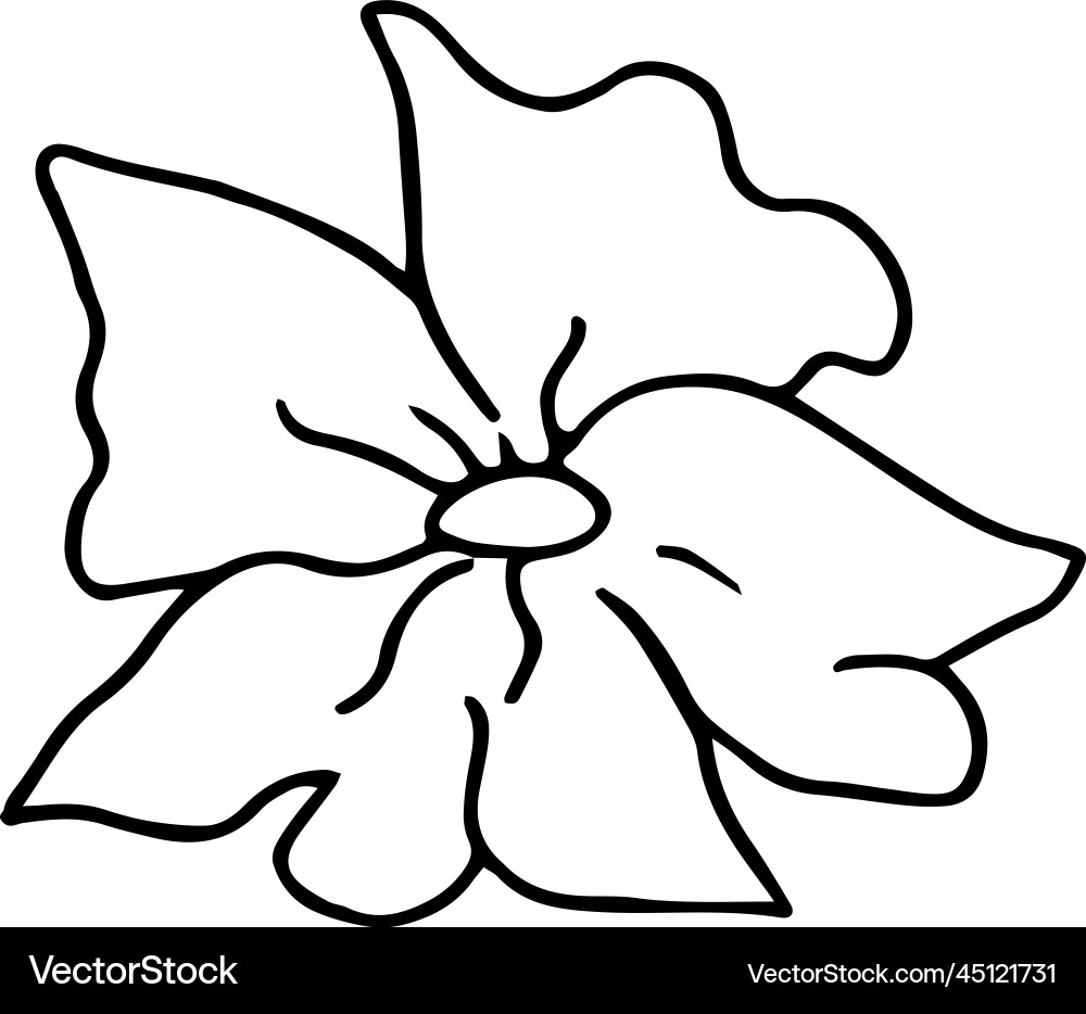 Hand drawn flower on white background one line Vector Image