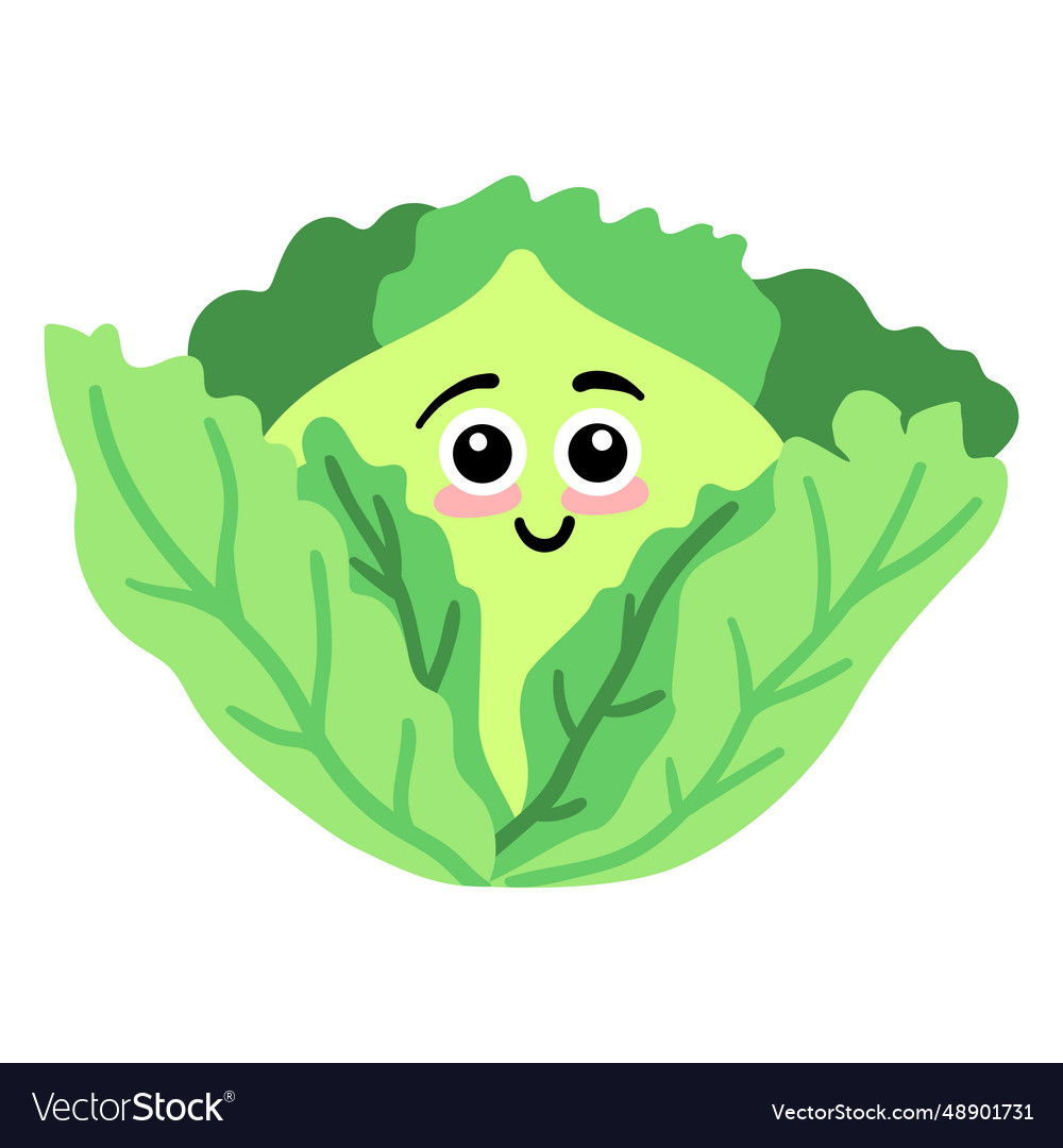 Leaf cabbage flat Royalty Free Vector Image - VectorStock
