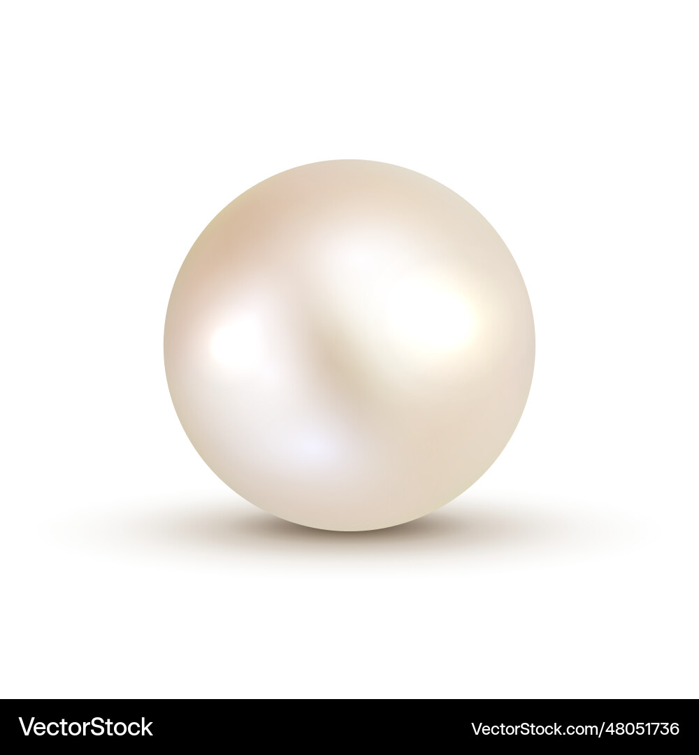 3d shiny natural white pearl ball accessory Vector Image