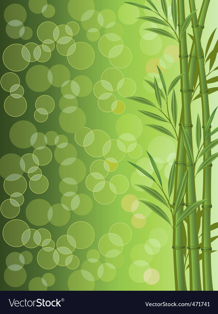 Bamboo Royalty Free Vector Image - VectorStock