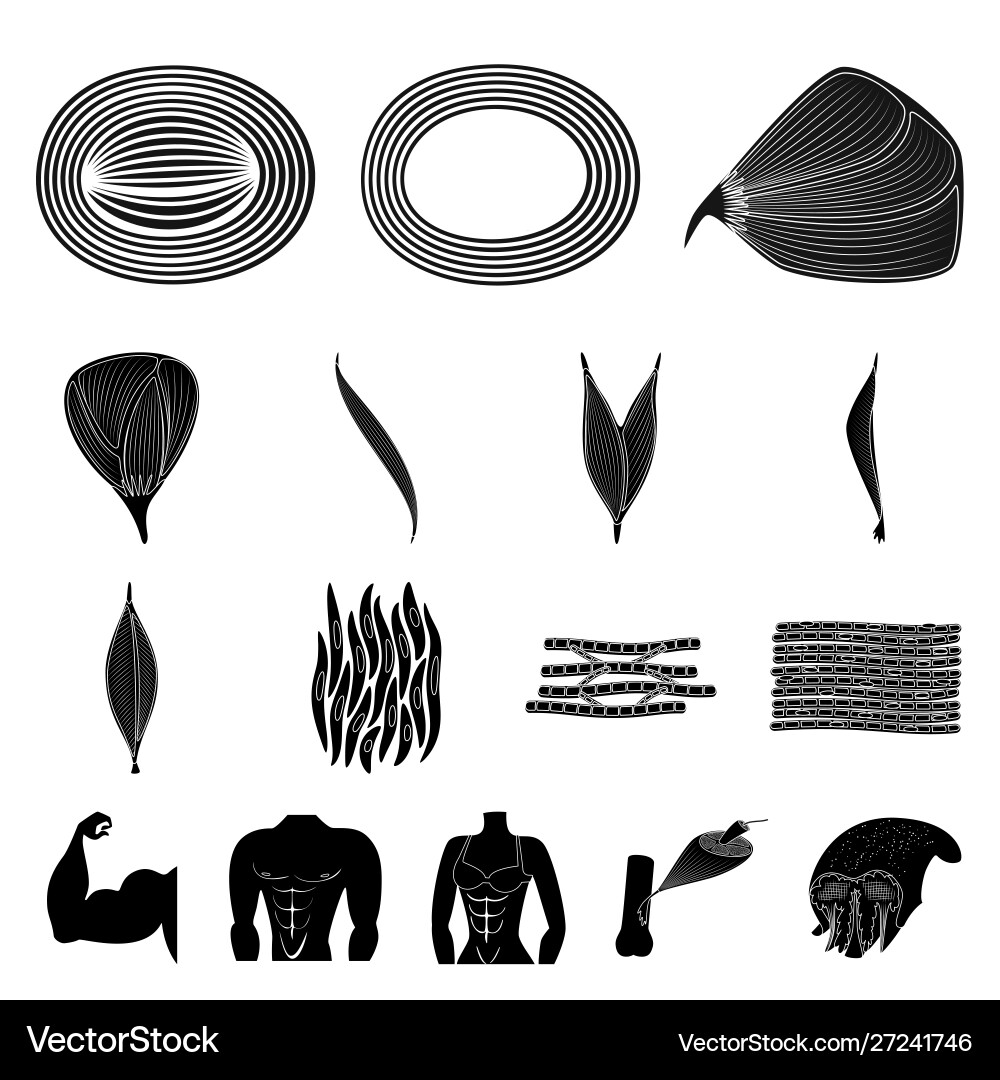 Design human and body symbol set Royalty Free Vector Image