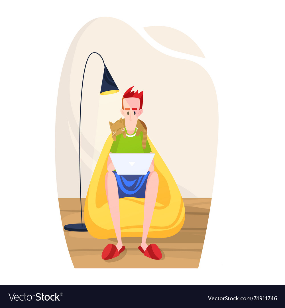 Male character freelancer programmer work home Vector Image