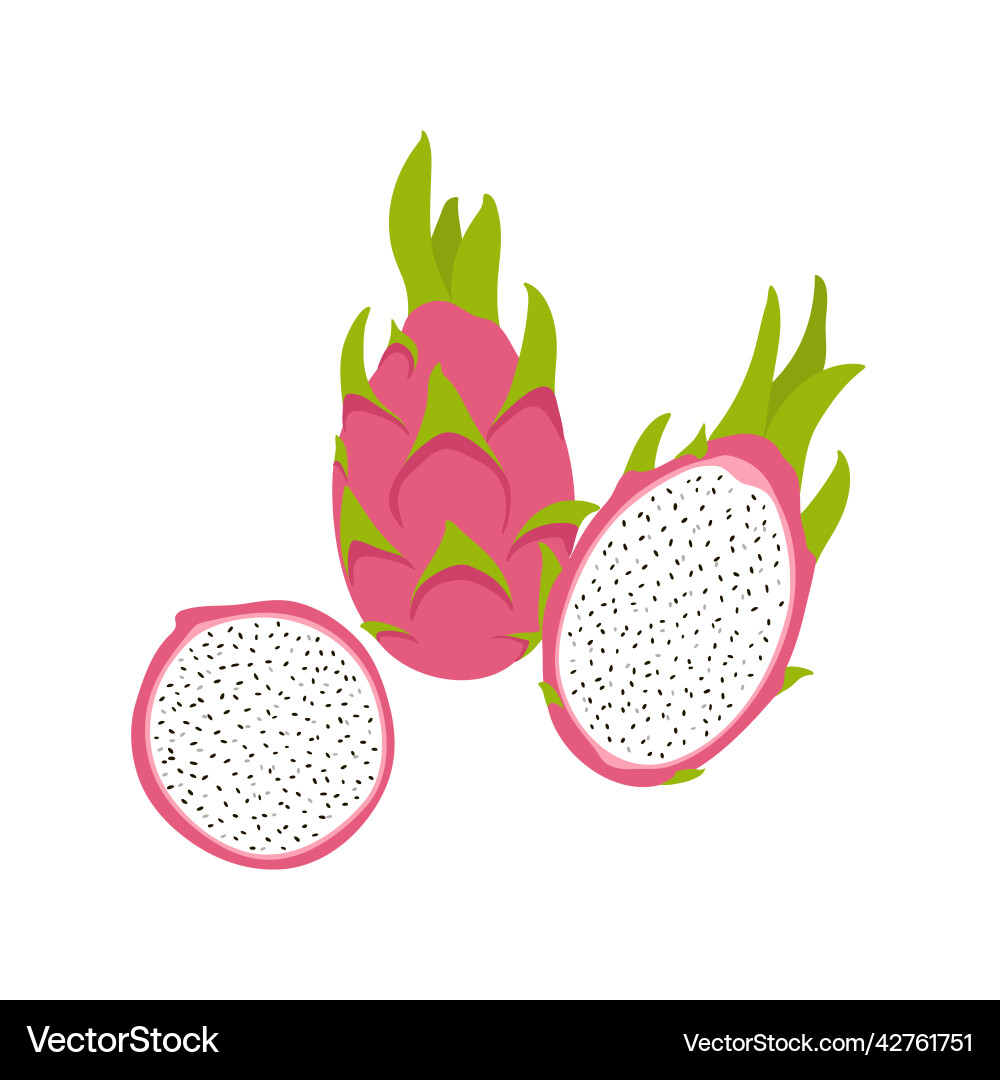 Hand drawn dragon fruit elements Royalty Free Vector Image
