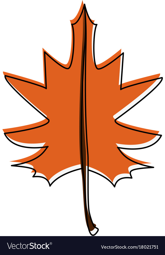 Maple fall leaf icon image Royalty Free Vector Image