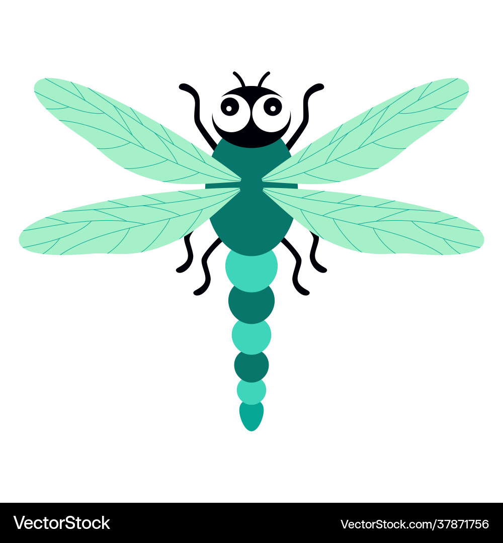 With cartoon dragonfly isolated on white Vector Image