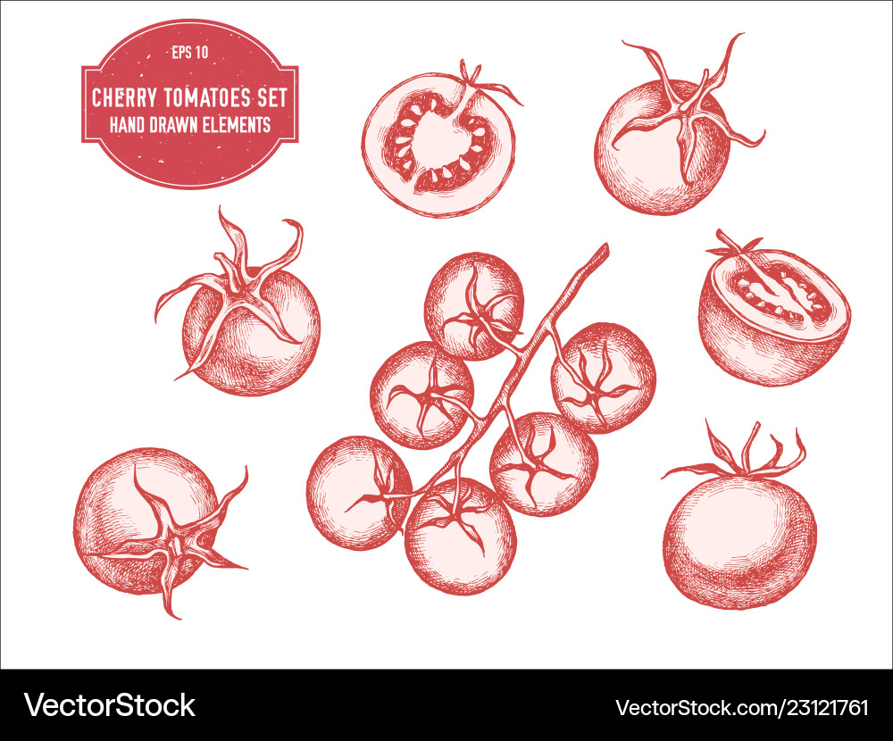 Collection of hand drawn pastel cherry Royalty Free Vector