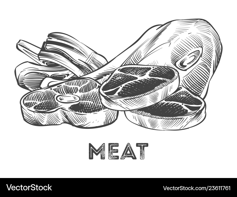 Hand drawn steak ribs fresh meat isolated Vector Image