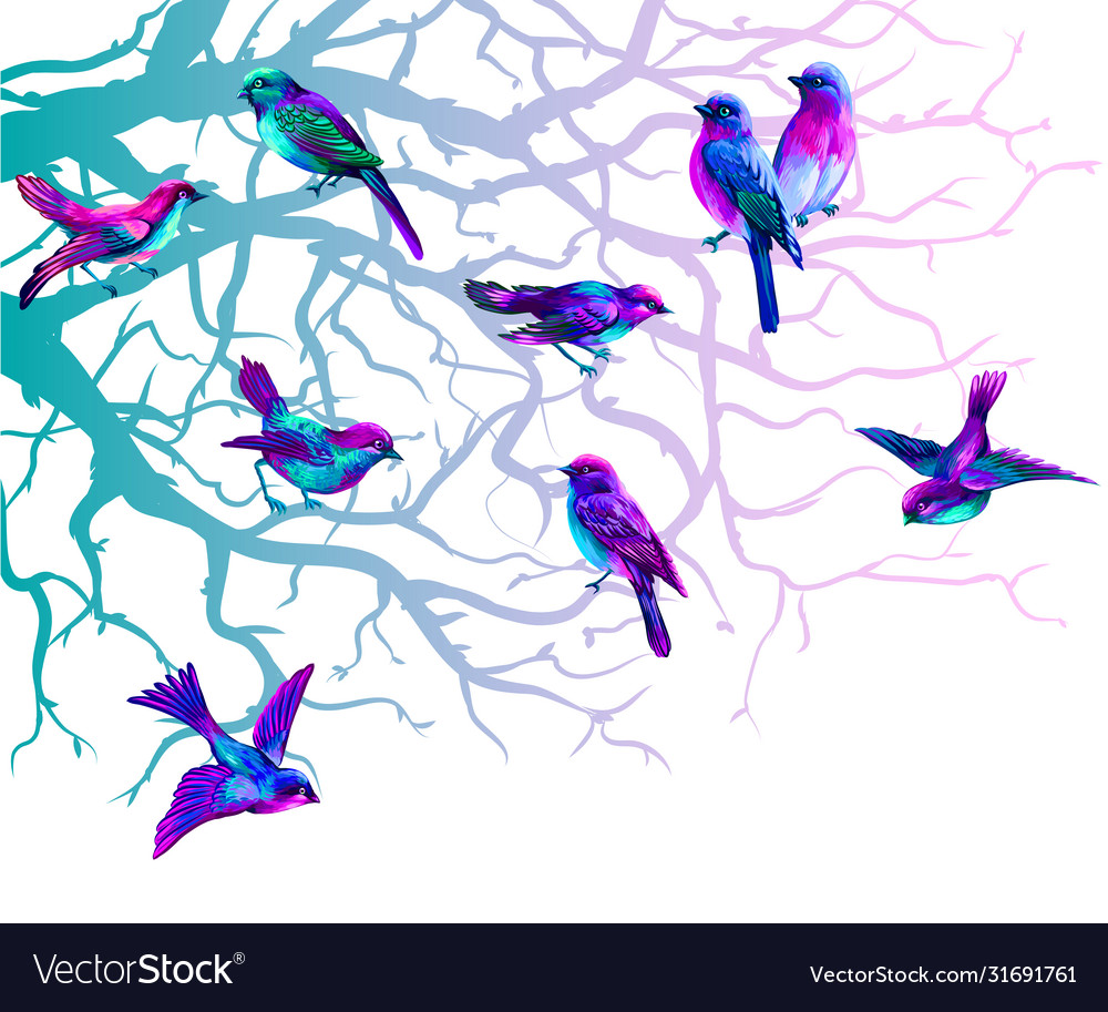 Multi-colored birds sitting on tree branches Vector Image