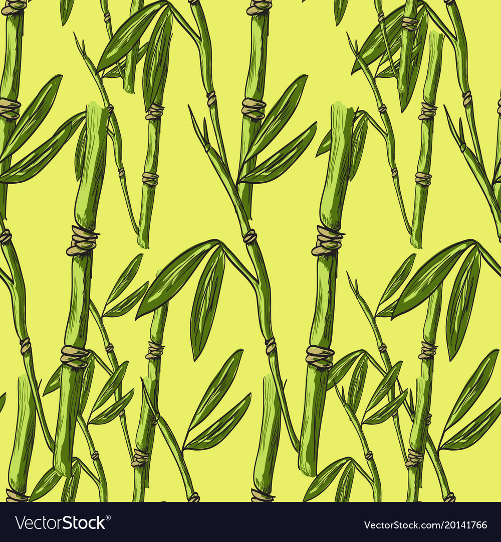 Bamboo pattern Royalty Free Vector Image - VectorStock