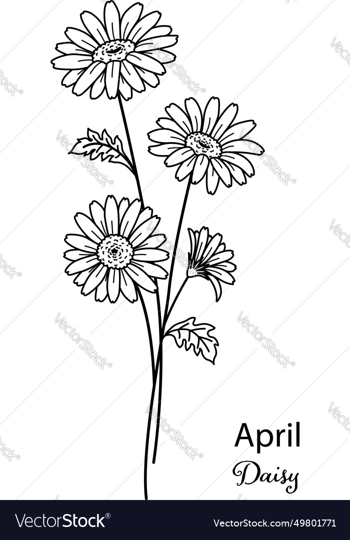 February violets Royalty Free Vector Image - VectorStock