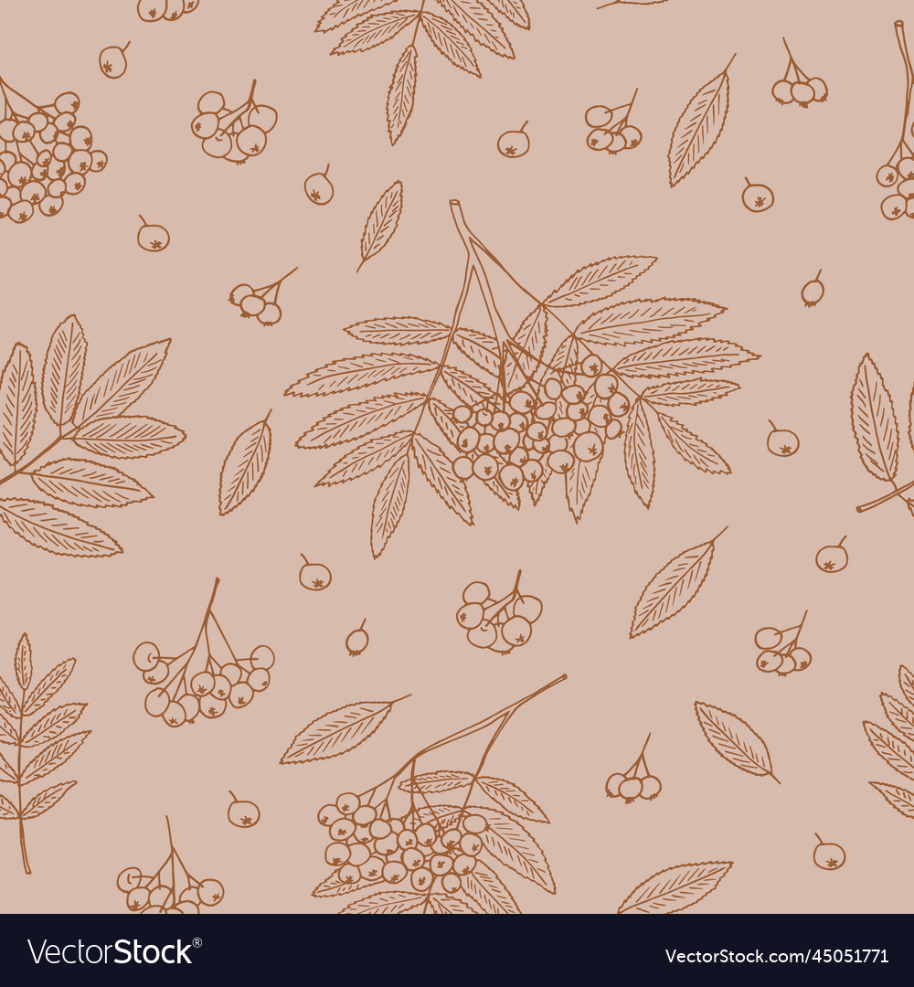 Rowan berries bunches and leaves seamless pattern Vector Image