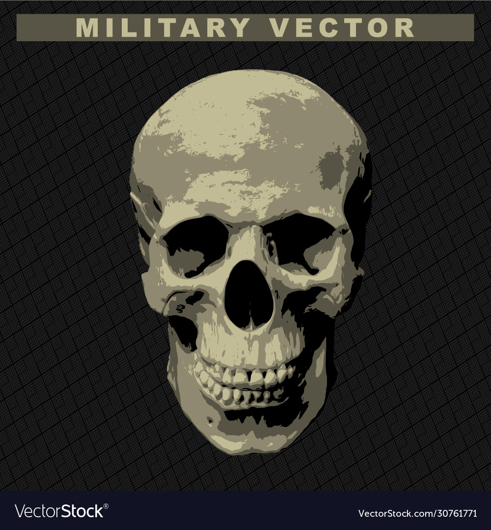 Skull Royalty Free Vector Image - VectorStock