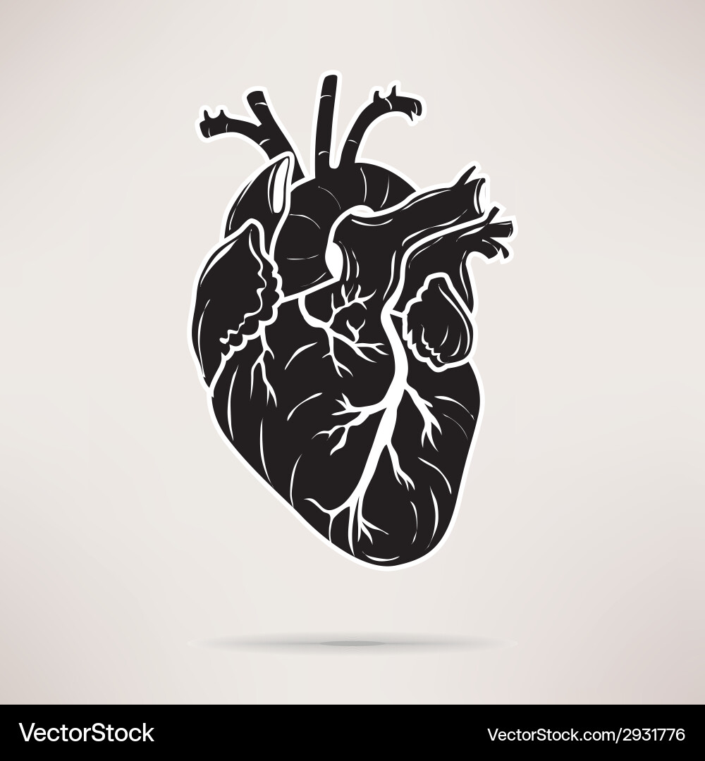 Icon body heart on the white background Royalty Free Vector