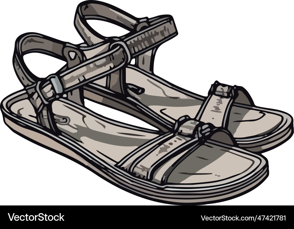 Comfortable leather shoes for summer walking Vector Image