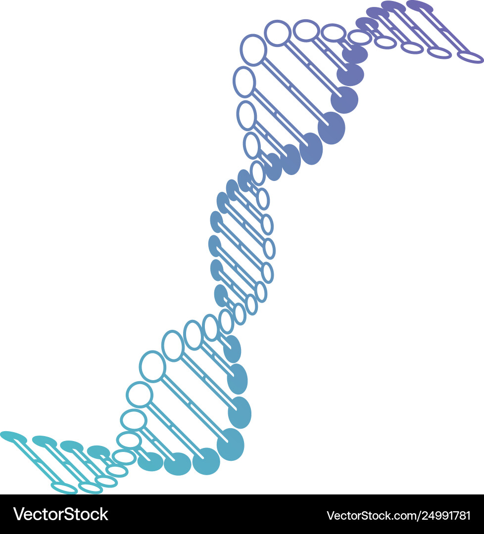 Diagonal dna chain science blue color Royalty Free Vector