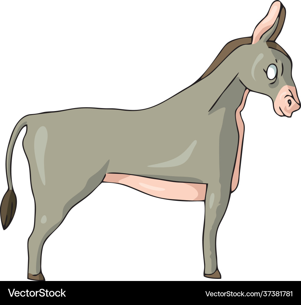 Donkey on white background cute cartoon Royalty Free Vector