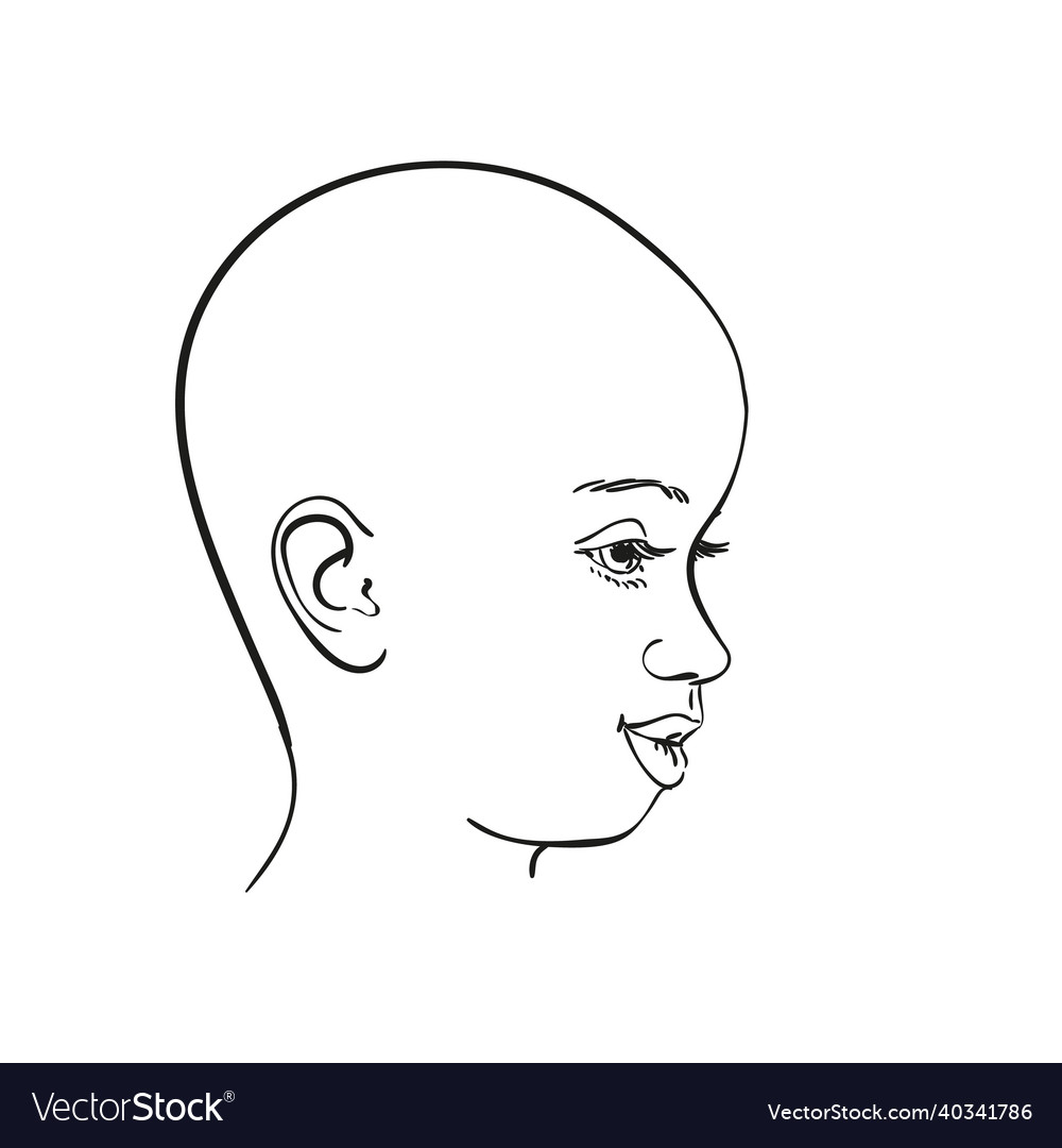 Head Royalty Free Vector Image - VectorStock