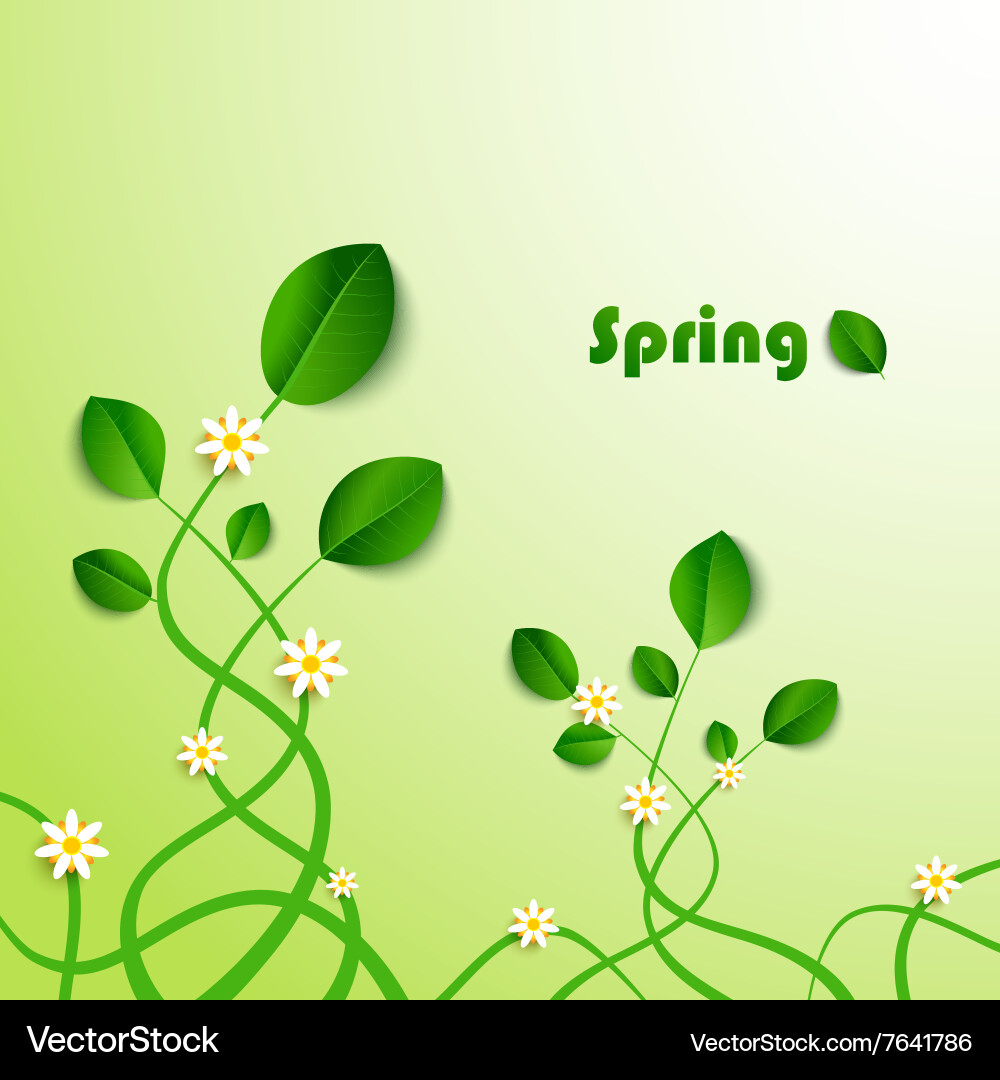 Spring card with green leaves and flowers Vector Image