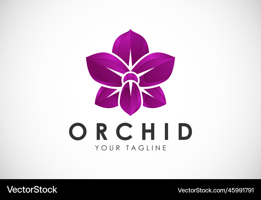 Colorful orchid flower logo design template Vector Image
