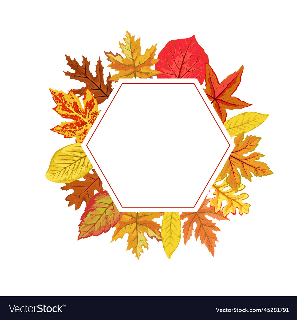 Hexagon frame from autumn leaves with white space Vector Image