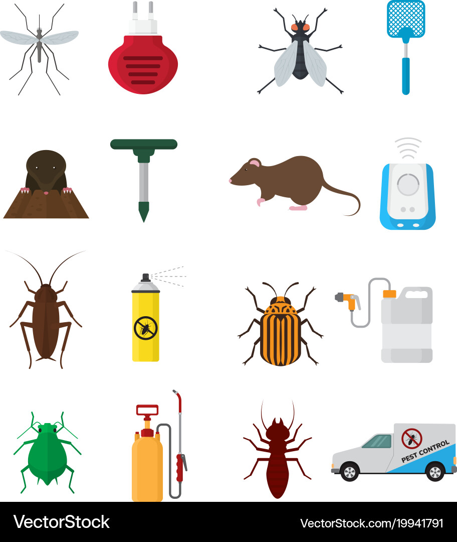 Insects control anti pest insecticide Royalty Free Vector